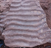 Ripple Marks In Rocks