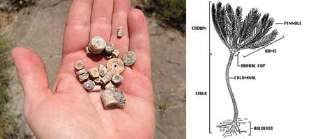 Moab Happenings Archive