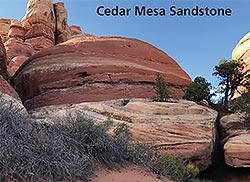 Moab Happenings Archive