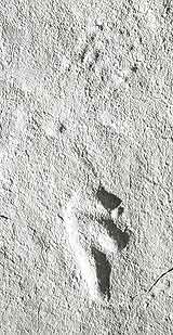 Moab Happenings Archive