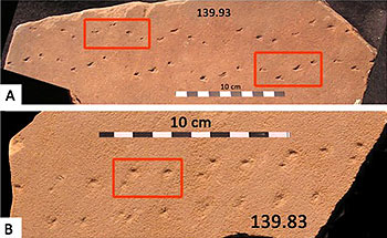 Moab Happenings Archive