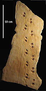 Moab Happenings Archive