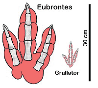 Moab Happenings Archive