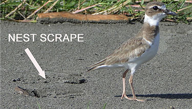 Moab Happenings Archive