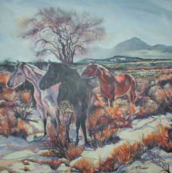 Moab Happenings Archive