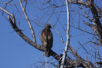 Moab Happenings Archive